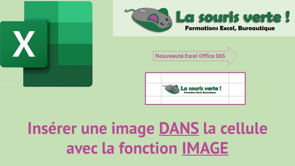 Insérer une image dans une cellule et non sur la feuille